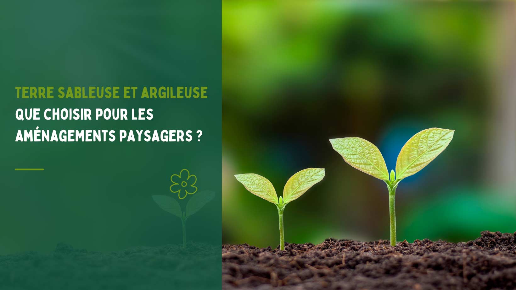 Comment choisir entre terre sableuse et argileuse pour vos aménagements ...